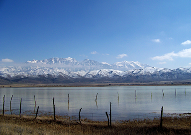 Home - UtahCounty.Gov - The Official Website of Utah County Government